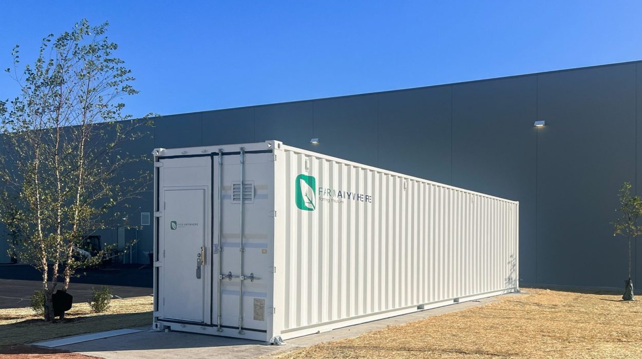 Container Farms For Food Banks - Affordable Solution to Feed Your Community